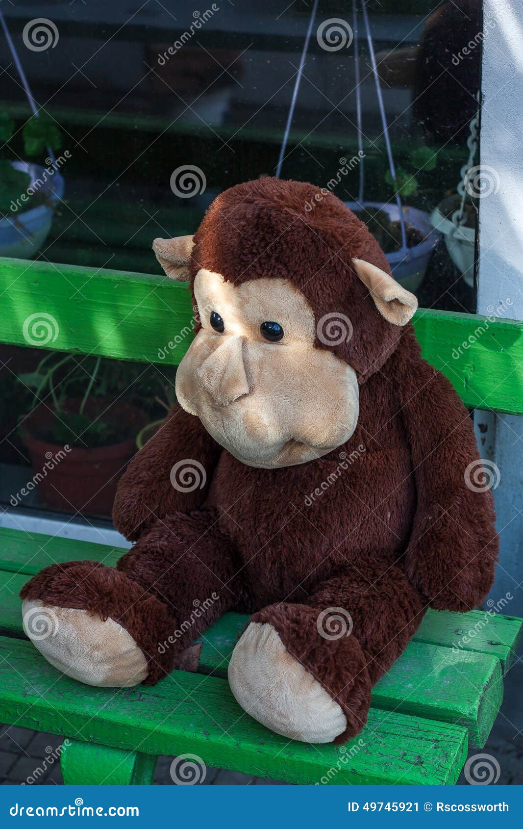 Macaco marrom do luxuoso imagem de stock. Imagem de verde - 49745921