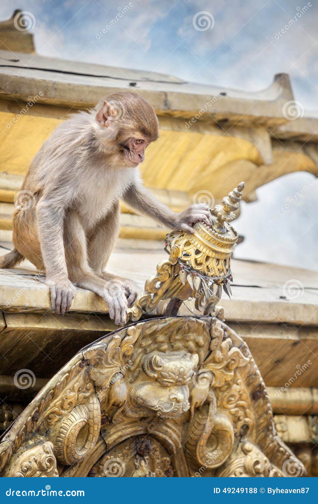 Macaco no templo em Nepal foto de stock. Imagem de cultura - 49249188