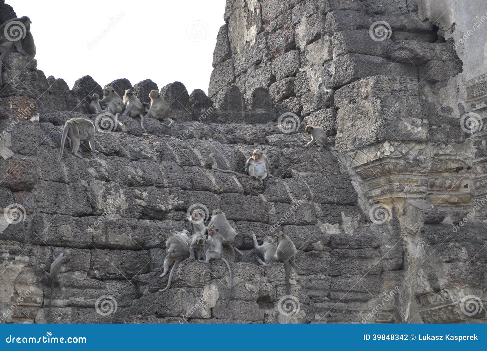 Macacos Em Um Templo. Lopburi, Tailândia Foto de Stock - Imagem de ...