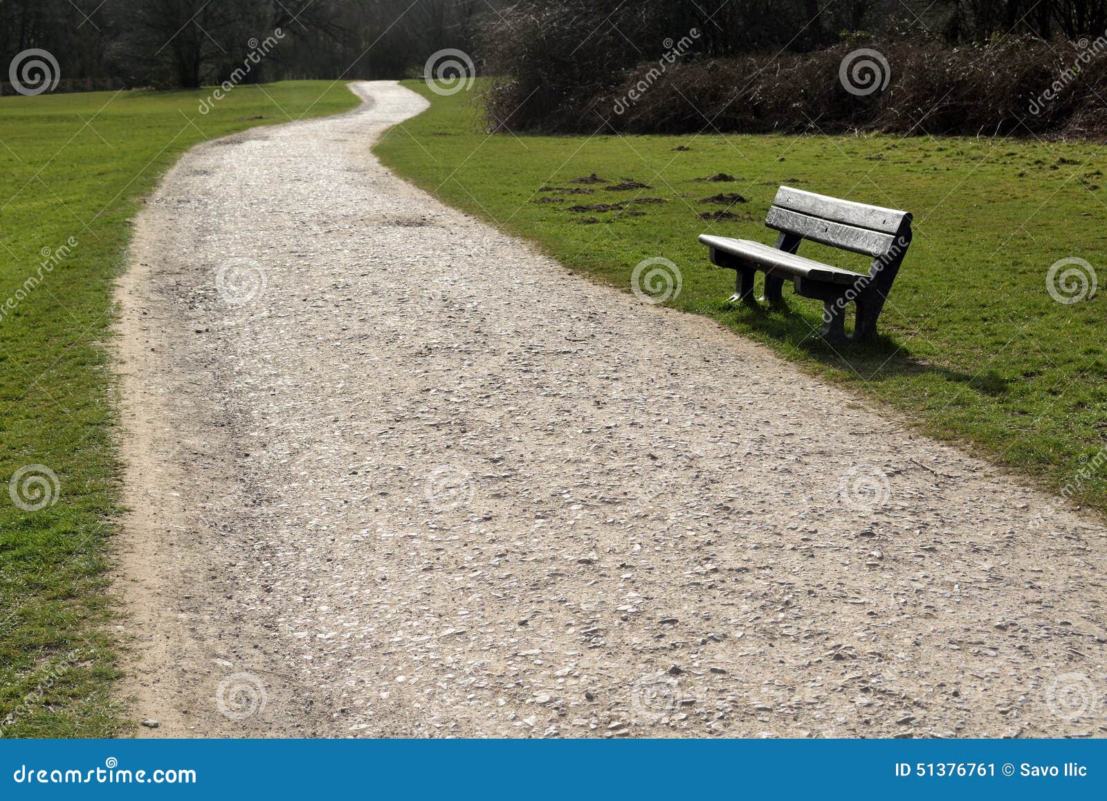 Macadam immagine stock. Immagine di legno, inghilterra - 51376761