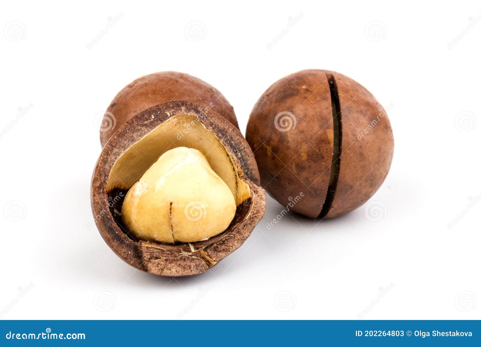 Macadam Nuts with Clipping Path on a White Isolated Background Stock ...