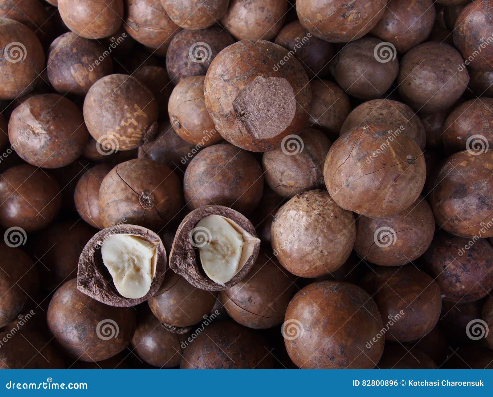Macadamia stock photo. Image of wooden, nuts, filbert - 82800896