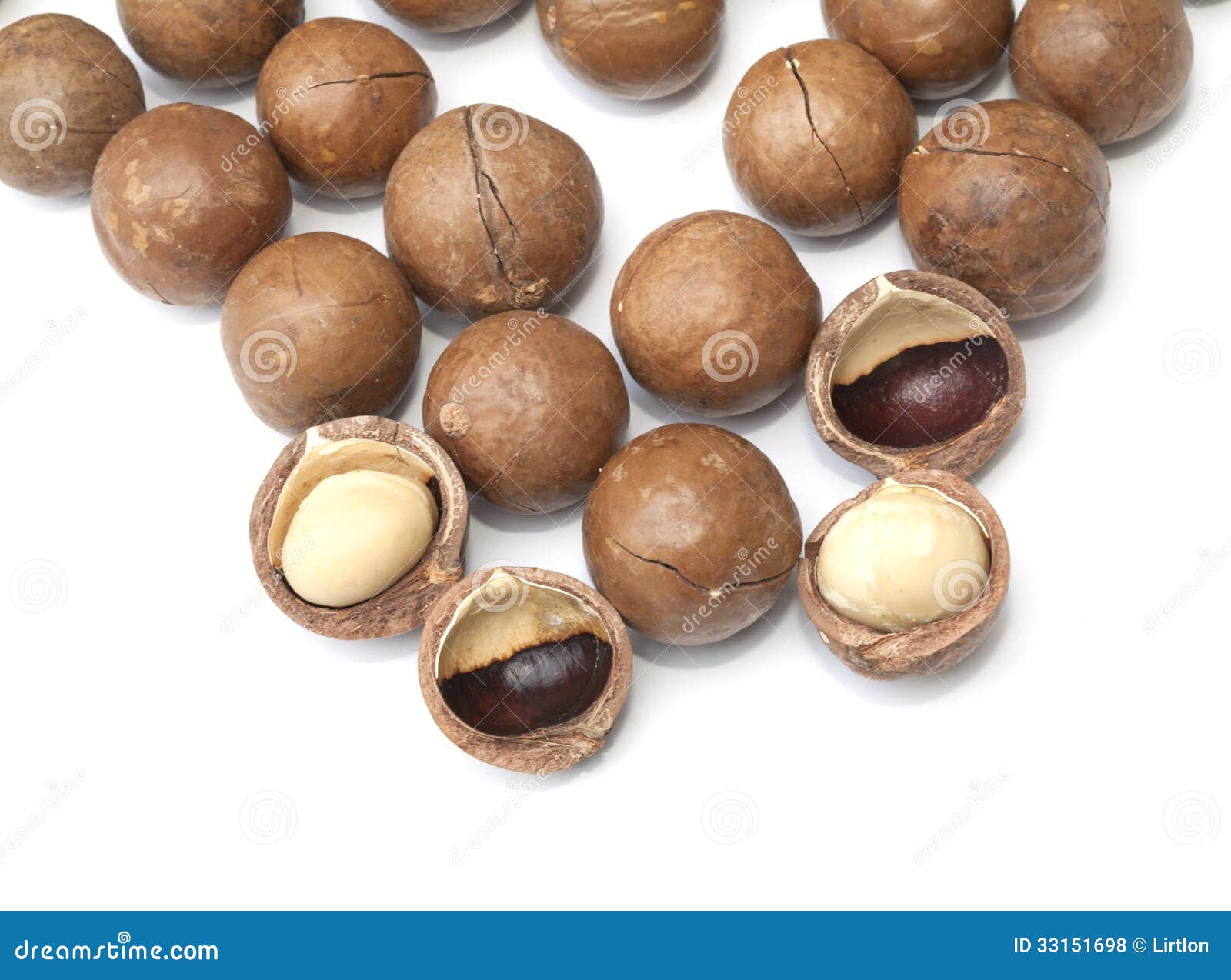 Macadamia fruit stock photo. Image of brown, macro, delicious - 33151698
