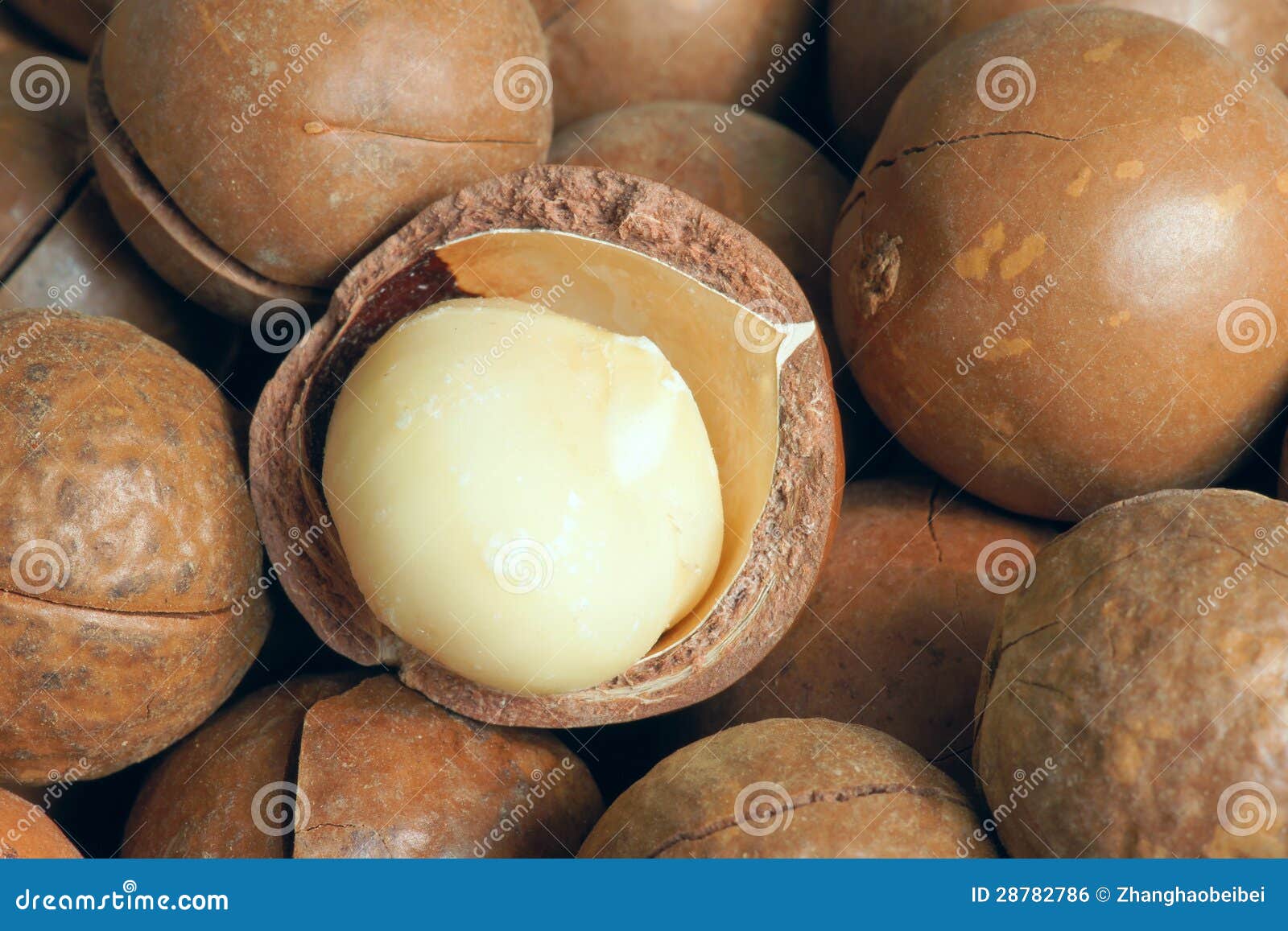 Macadamia fruits stock photo. Image of nuts, fruits, food - 28782786