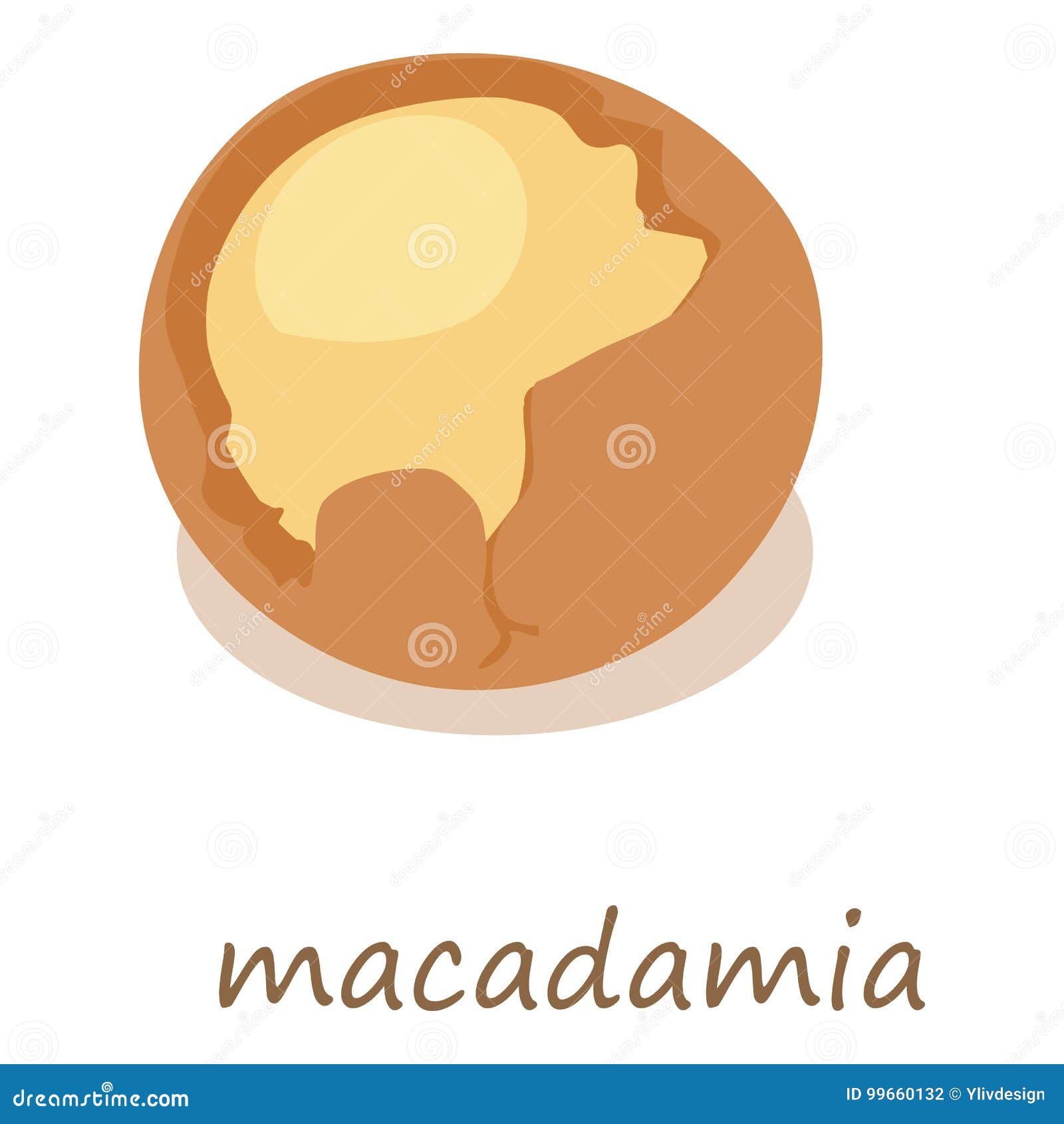 Macadamia Icon, Isometric 3d Style Stock Vector - Illustration of icon ...
