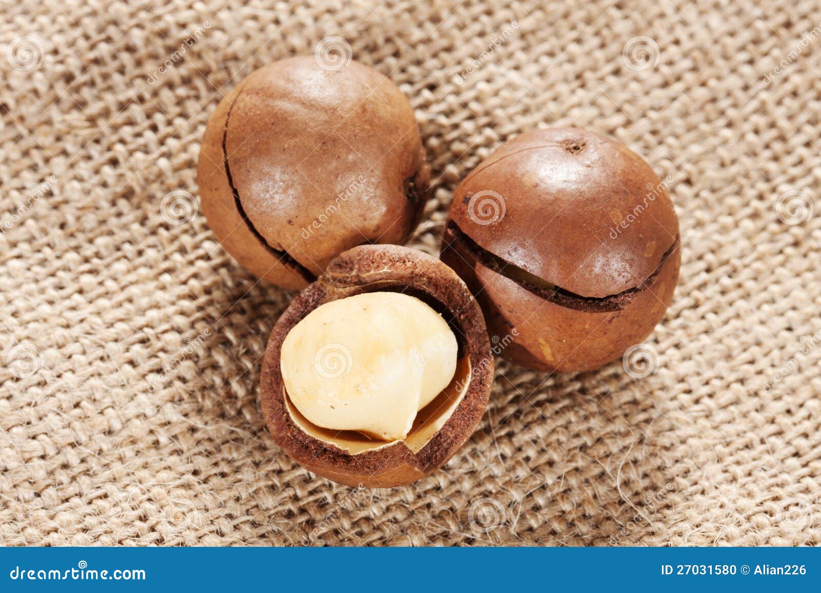 Macadamia nut stock photo. Image of ingredient, healthy - 27031580