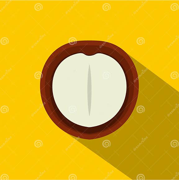 Macadamia Nut Icon, Flat Style Stock Vector - Illustration of organic ...