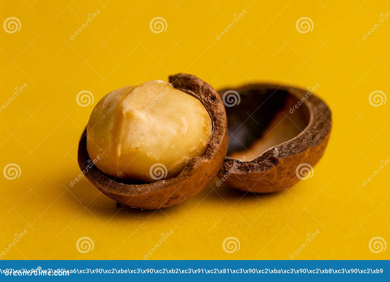 Macadamia Nut Kernel and Shell on a Yellow Background Stock Photo ...