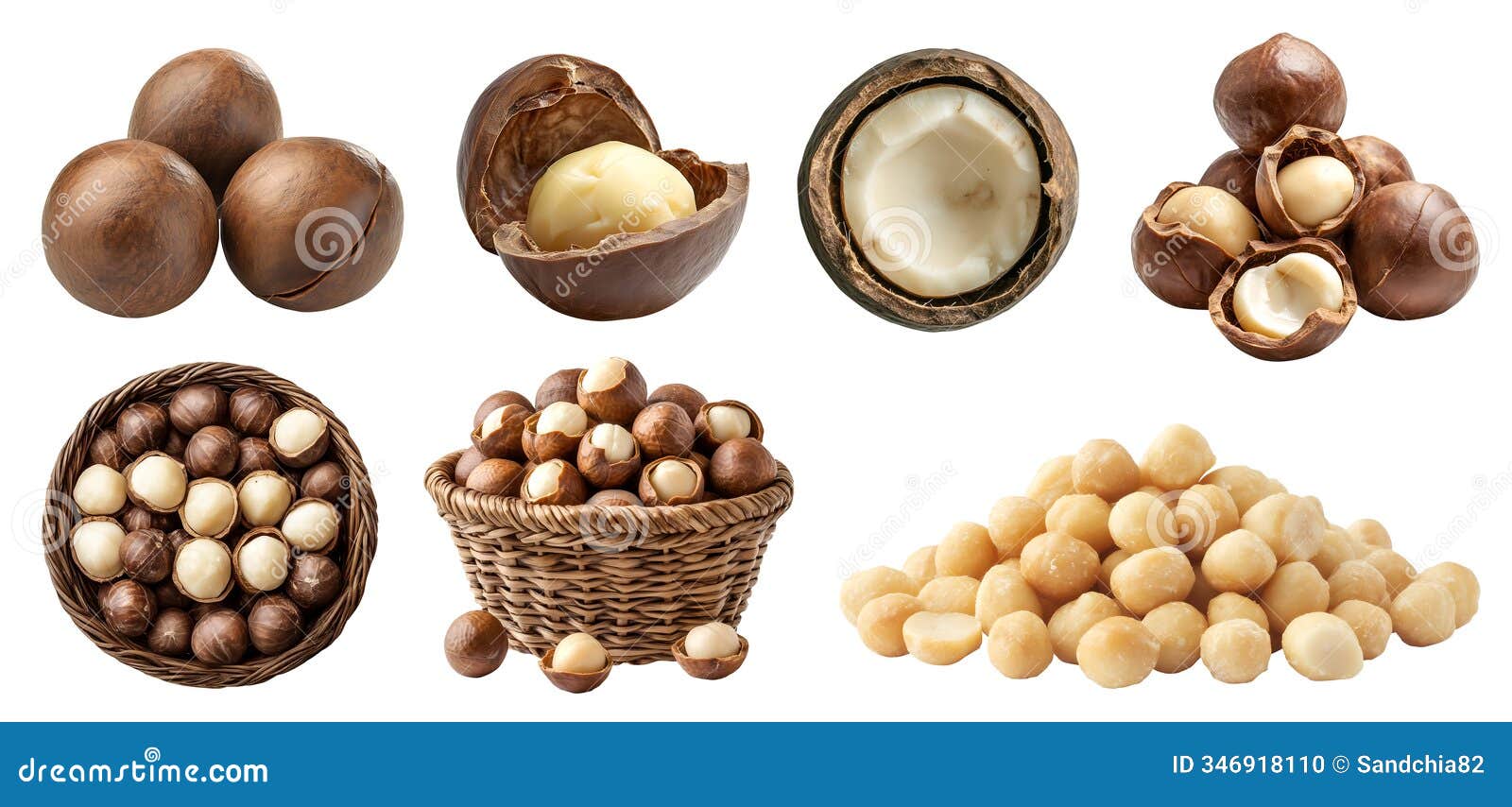 Macadamia Nut Seed Fruit, Many Angles View Pile Stack, Basket, Husk ...
