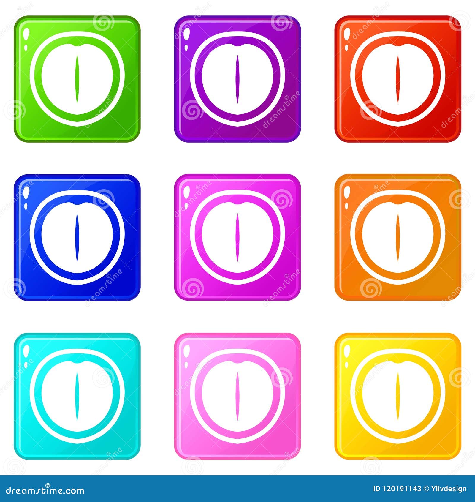 Macadamia nut set 9 stock vector. Illustration of delicious - 120191143