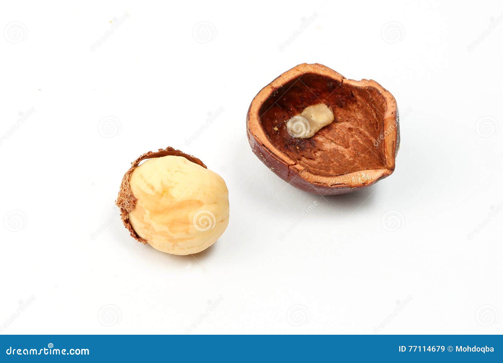 Macadamia nut and shell stock image. Image of group, close - 77114679