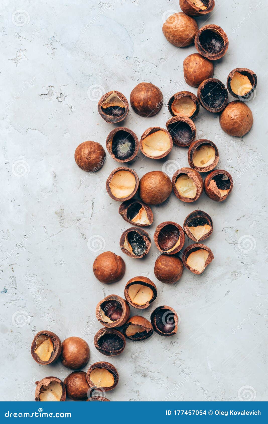 Macadamia Nut Shells Scattered on a Gray Concrete Background Stock ...