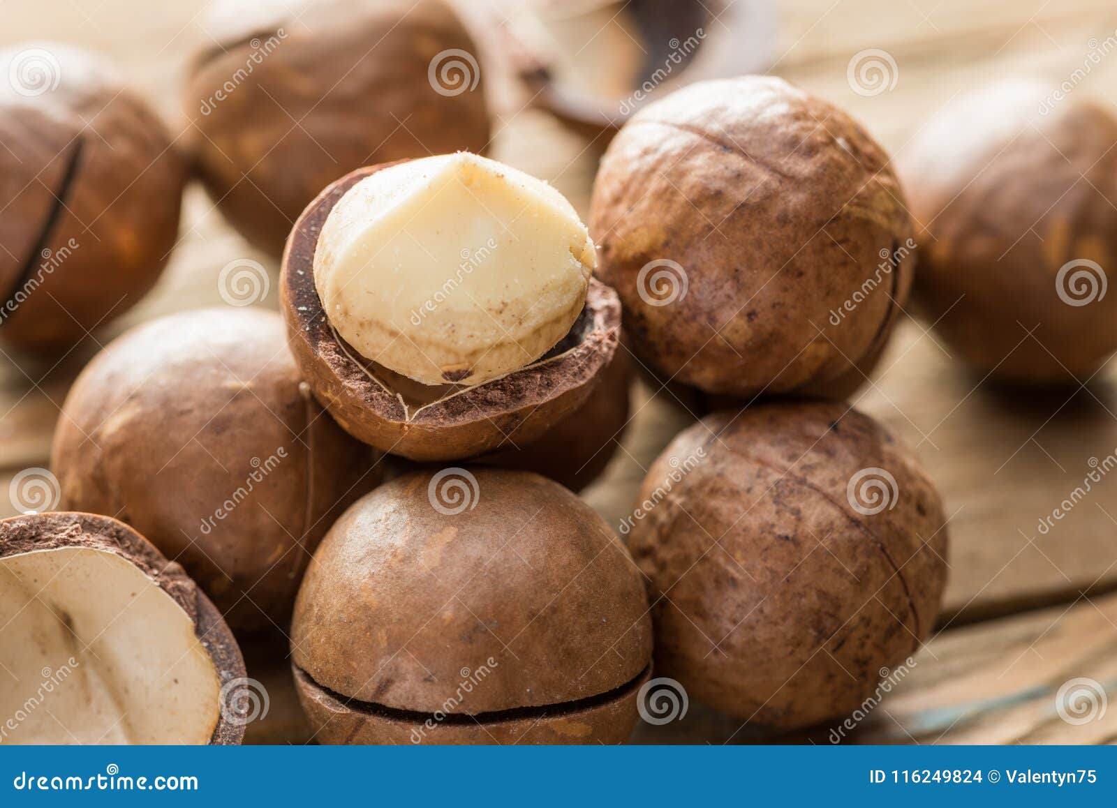 Macadamia Nuts or Bush Nuts on the Wooden Table. Stock Photo - Image of ...