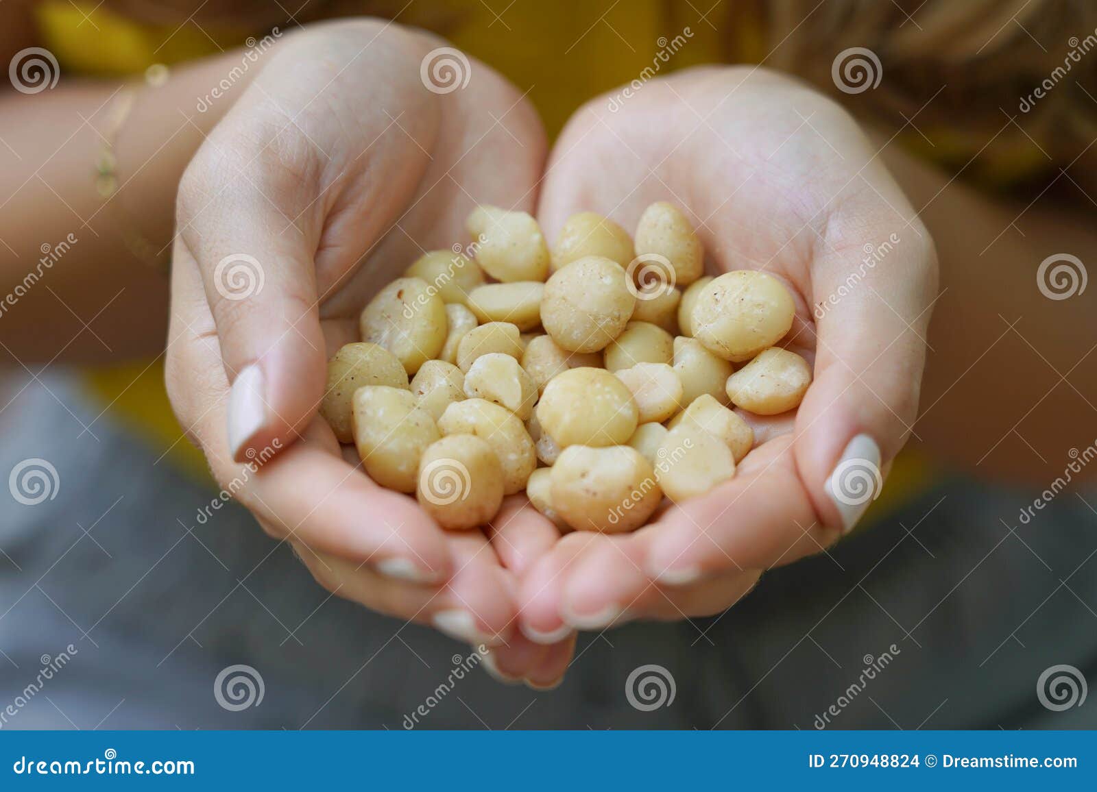 Macadamia Nuts. Close-up of Woman Hands Holding a Handful of Macadamia ...