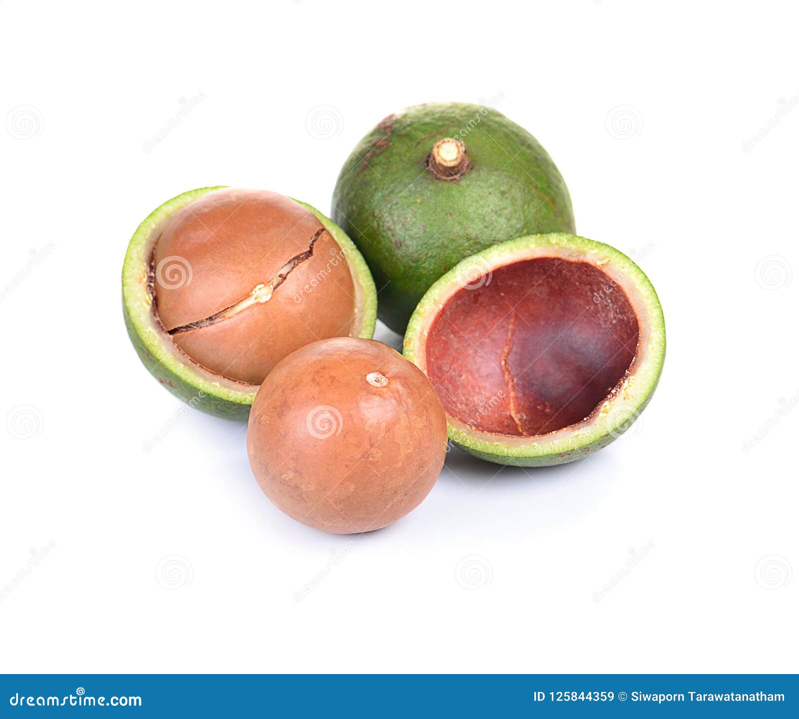 Macadamia Nuts Isolated on White Background Stock Image - Image of ...