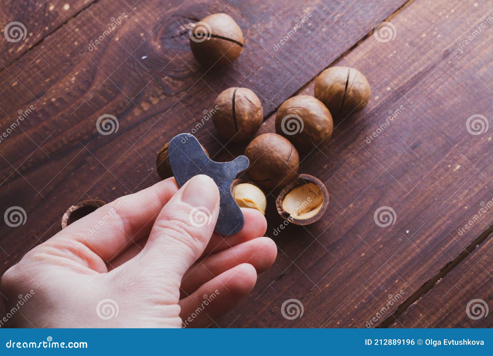 Macadamia Nuts and a Metal Nut Cracking Wrench Stock Photo - Image of ...