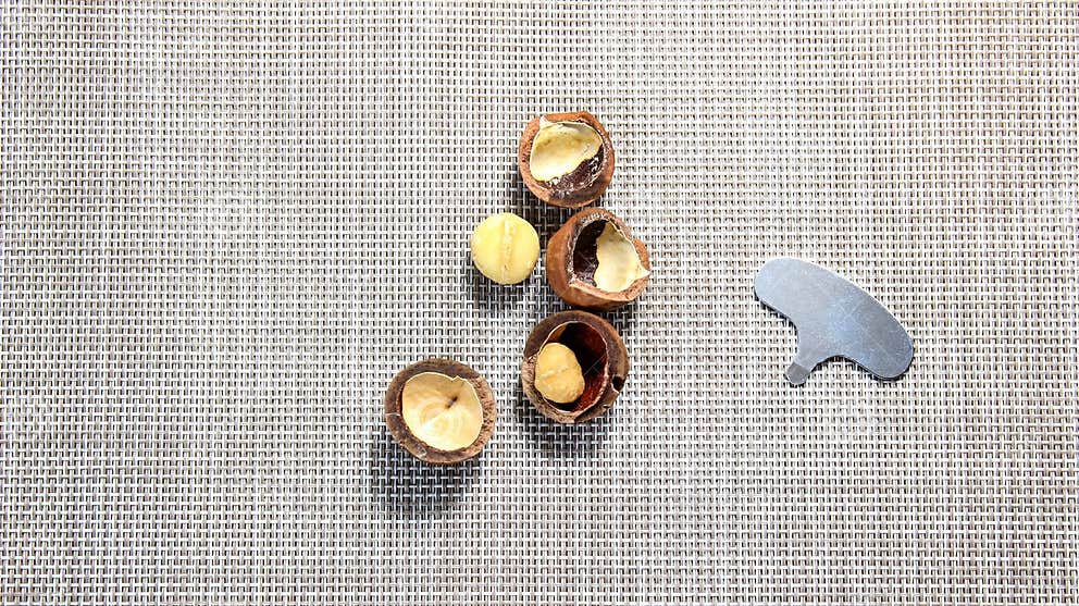 Macadamia Nuts are Open and in the Shell with a Metal Key for Opening ...