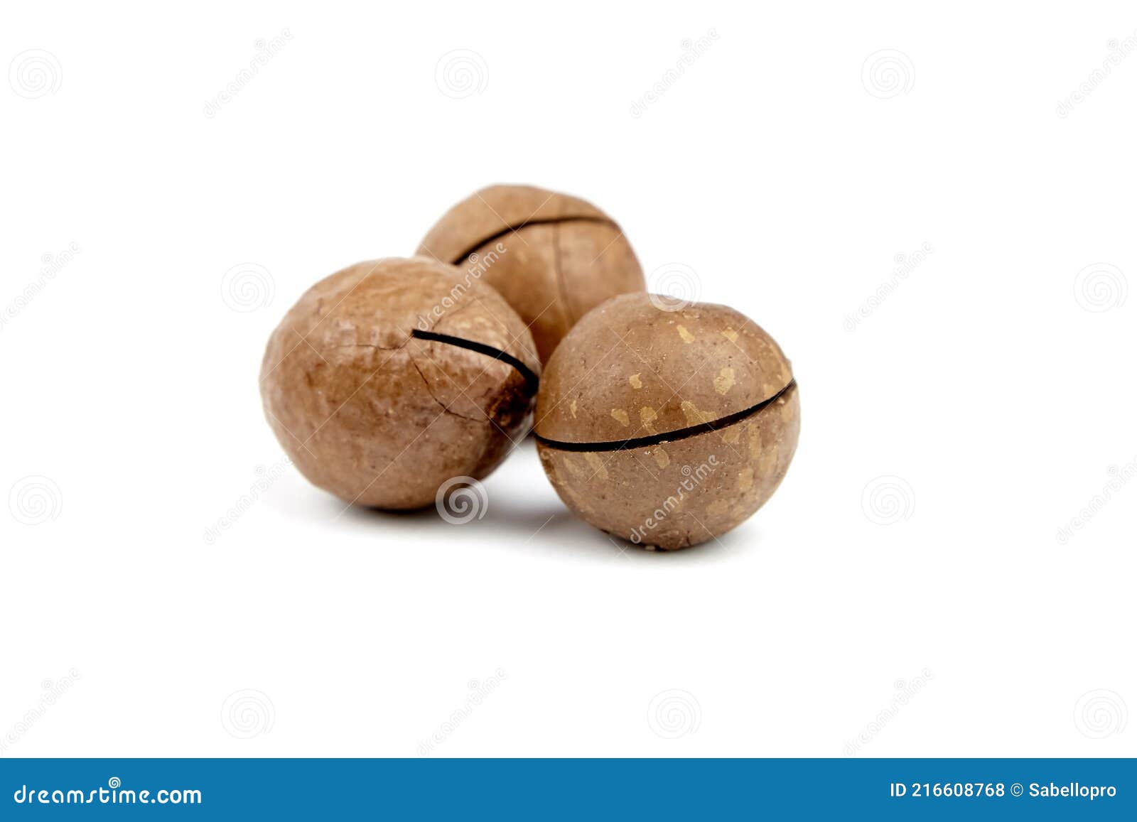 Macadamia Nuts Roasted in Shell Isolated on White Stock Photo - Image ...