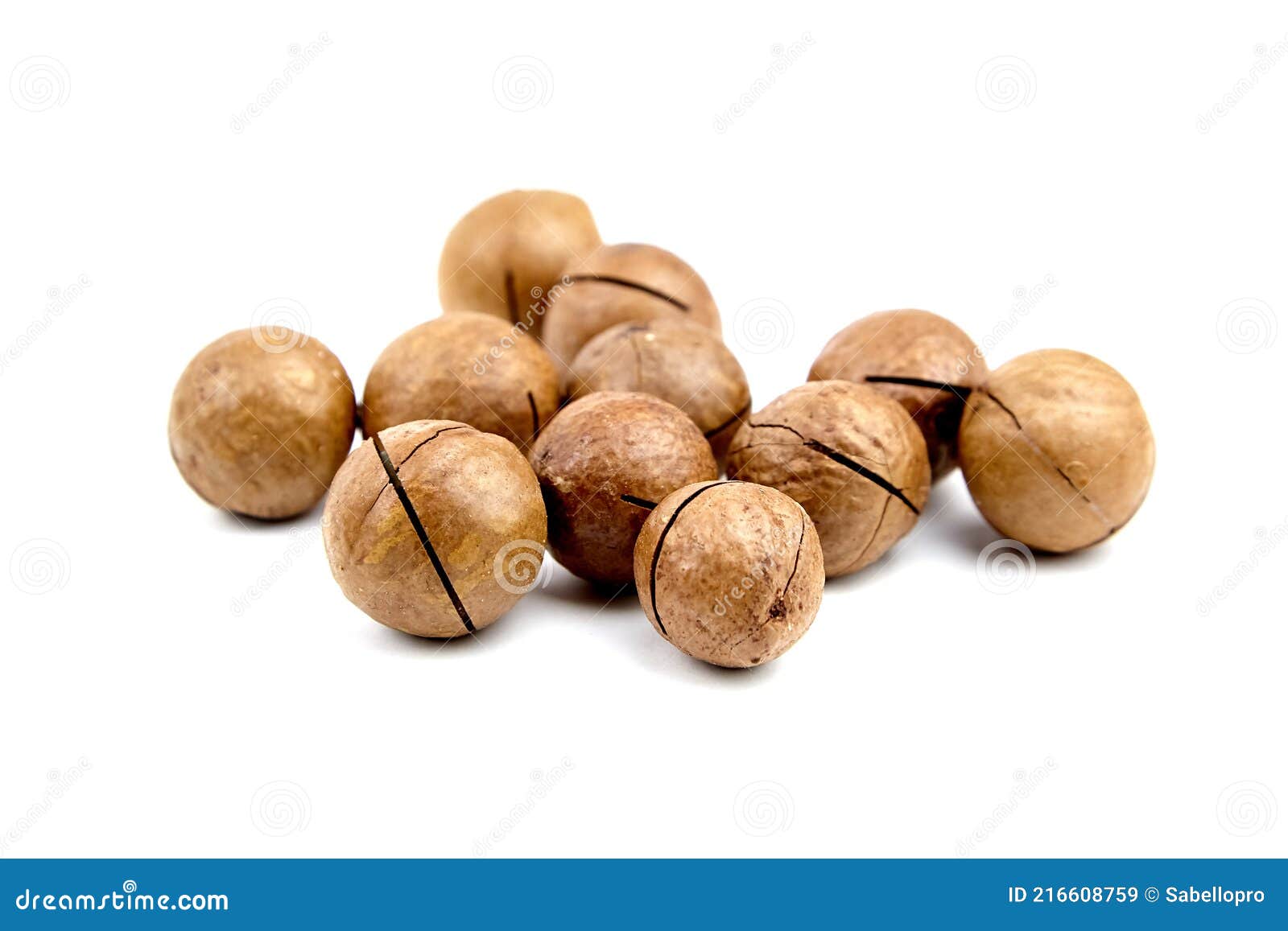Macadamia Nuts Roasted in Shell Isolated on White Stock Image - Image ...