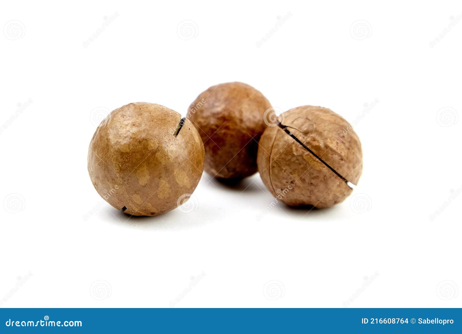 Macadamia Nuts Roasted in Shell Isolated on White Stock Photo - Image ...