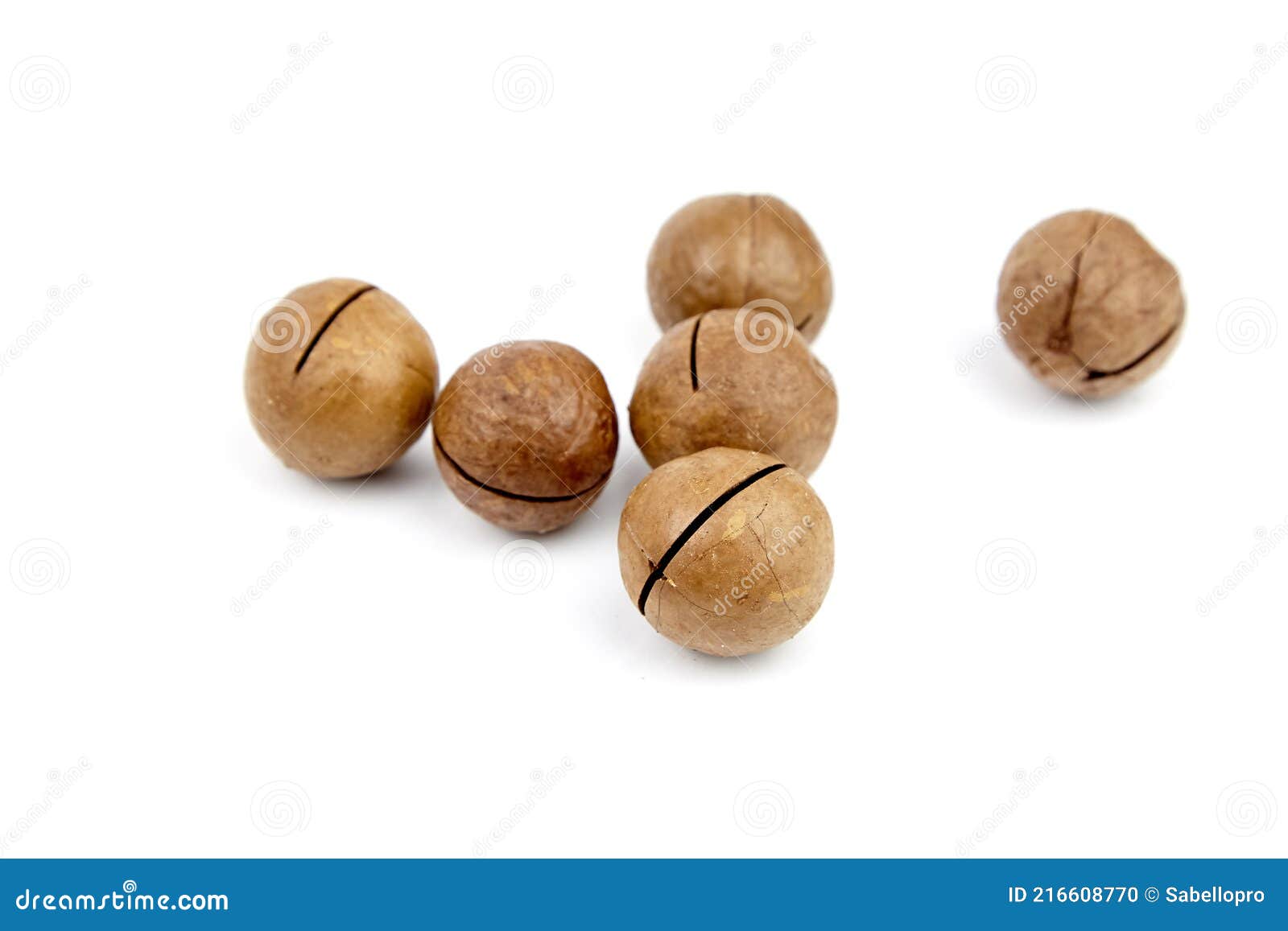 Macadamia Nuts Roasted in Shell Isolated on White Stock Photo - Image ...