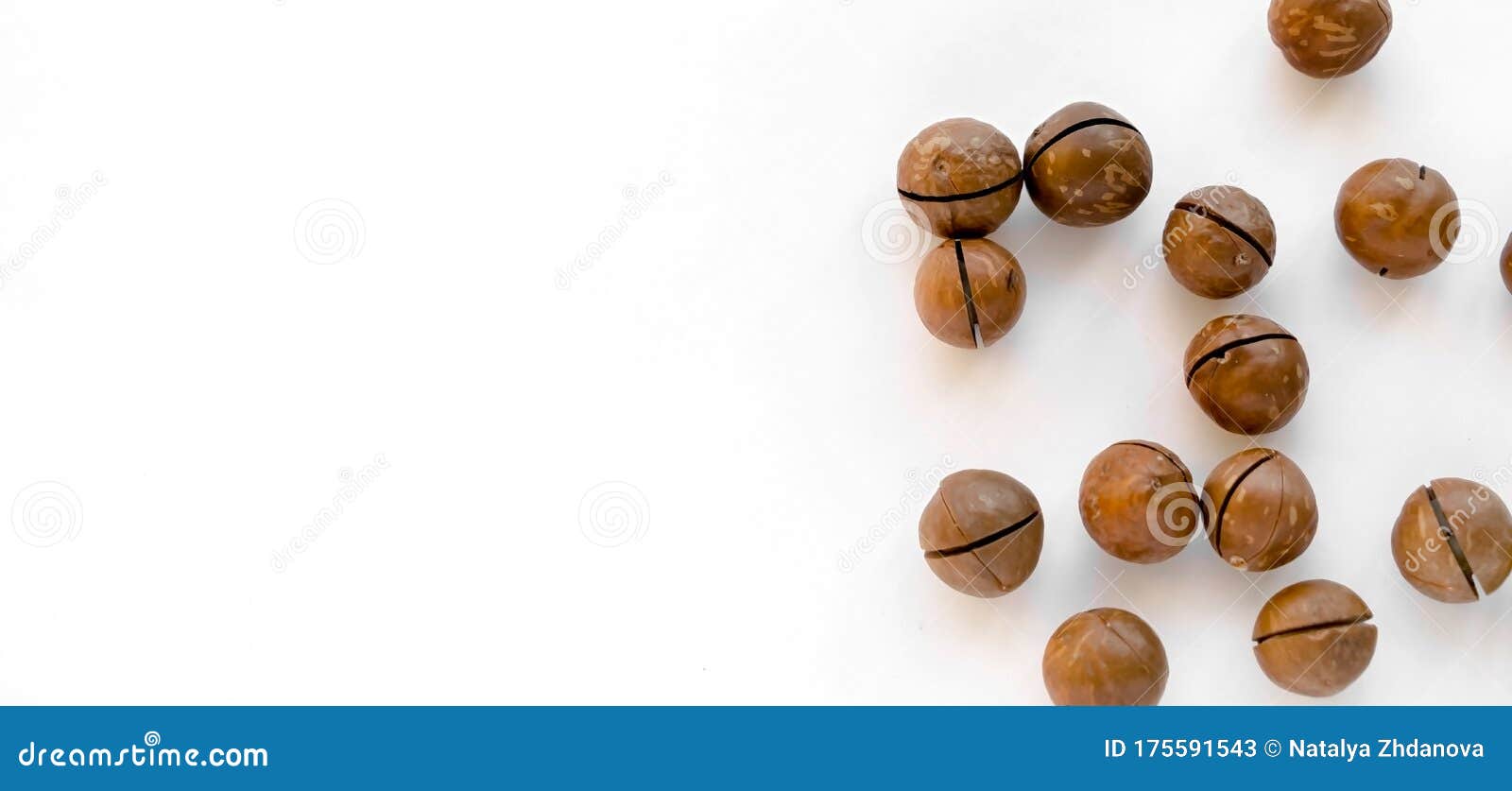 Macadamia Nuts in the Shell Isolated on a White Background Close-up ...