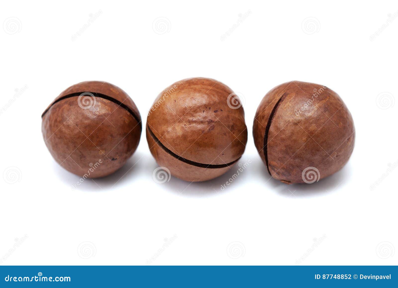Macadamia Nuts in Shell Isolated on White Background Stock Photo ...