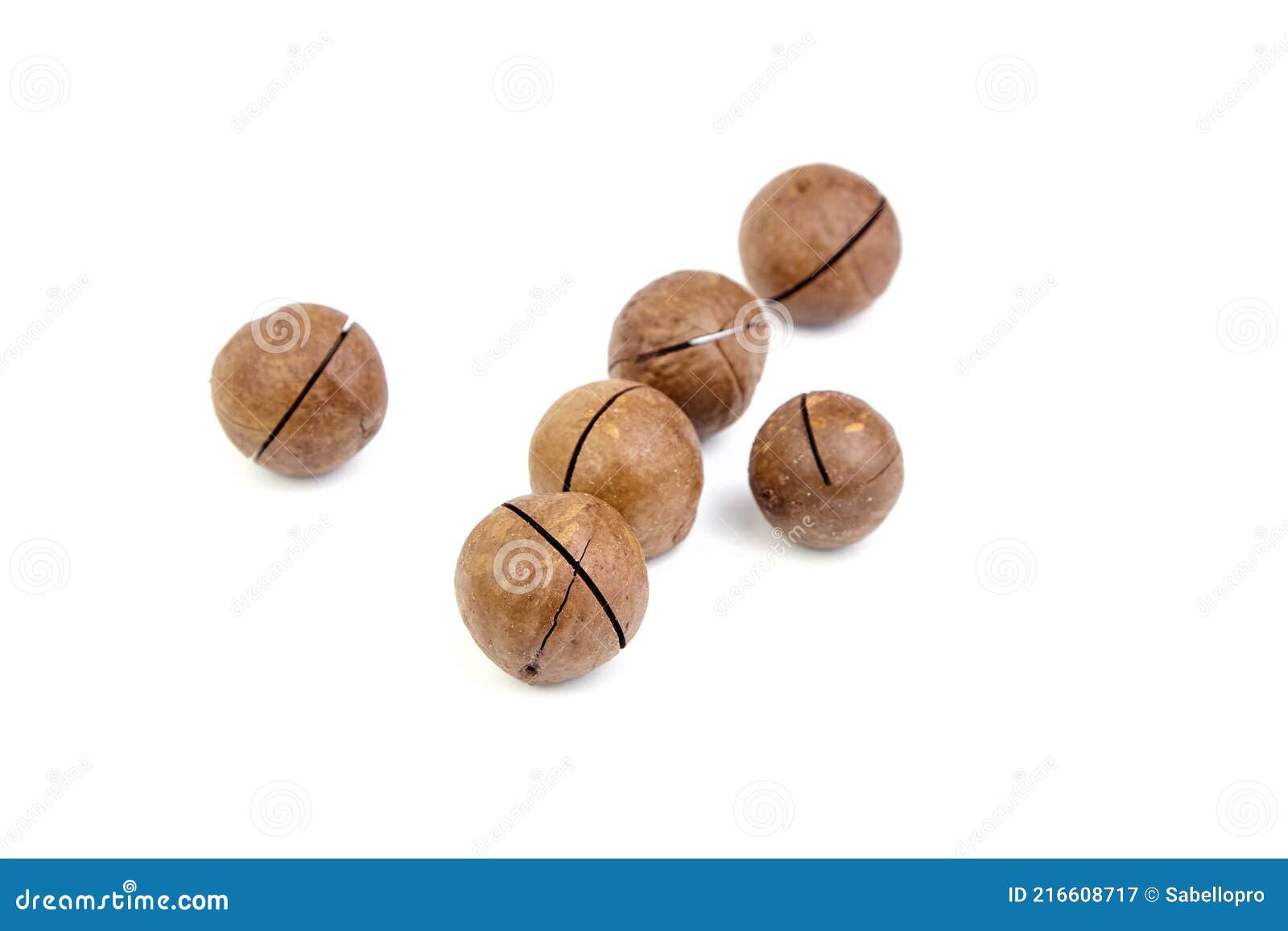Macadamia Nuts Roasted in Shell Isolated on White Stock Image - Image ...