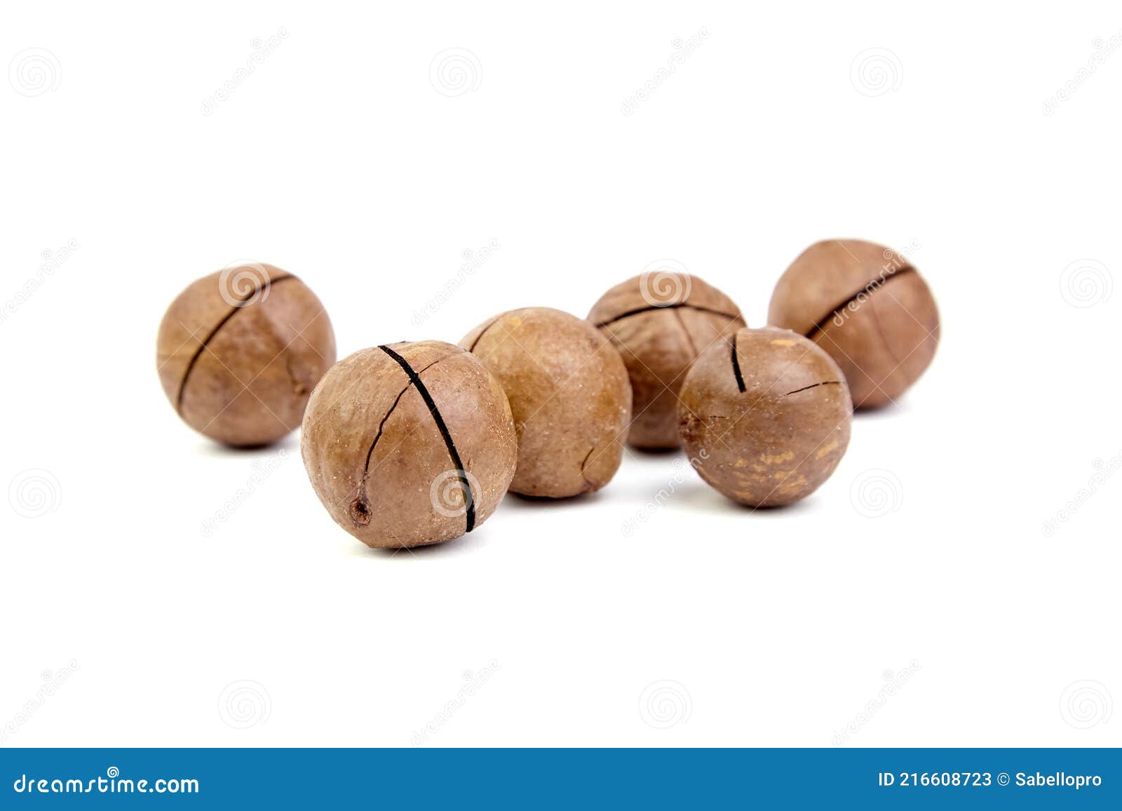 Macadamia Nuts Roasted in Shell Isolated on White Stock Image - Image ...
