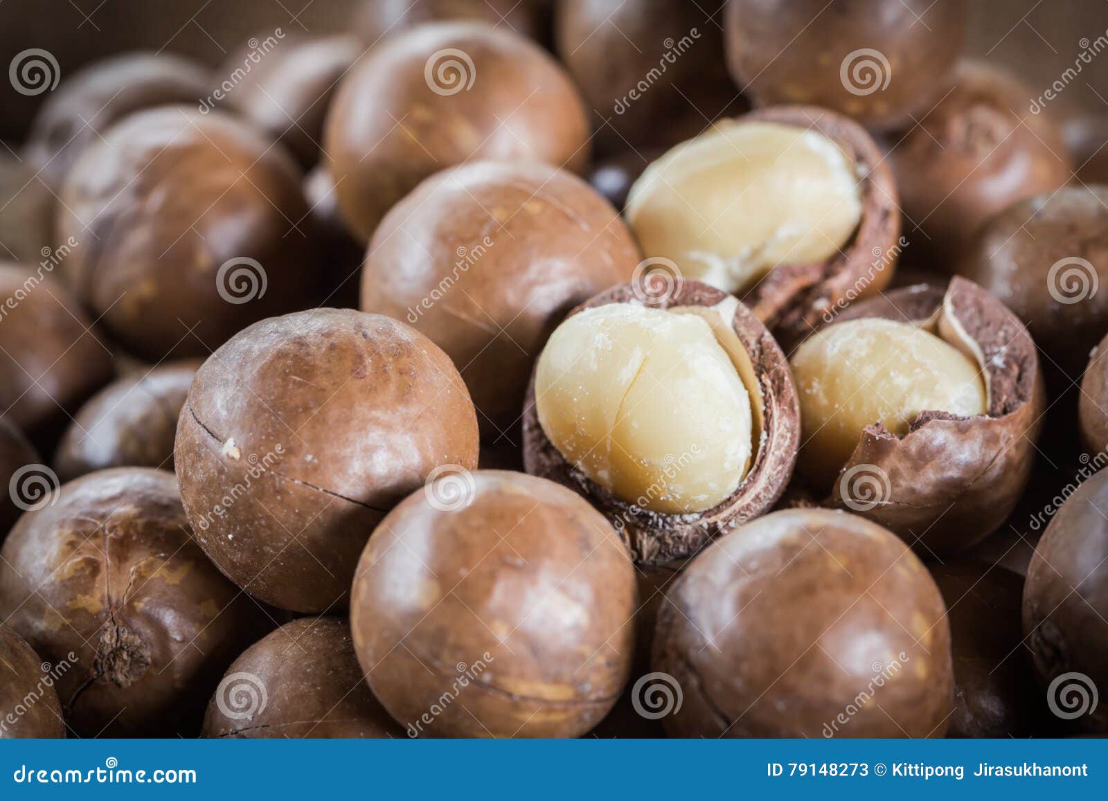 Macadamia nuts with shells stock image. Image of seed - 79148273