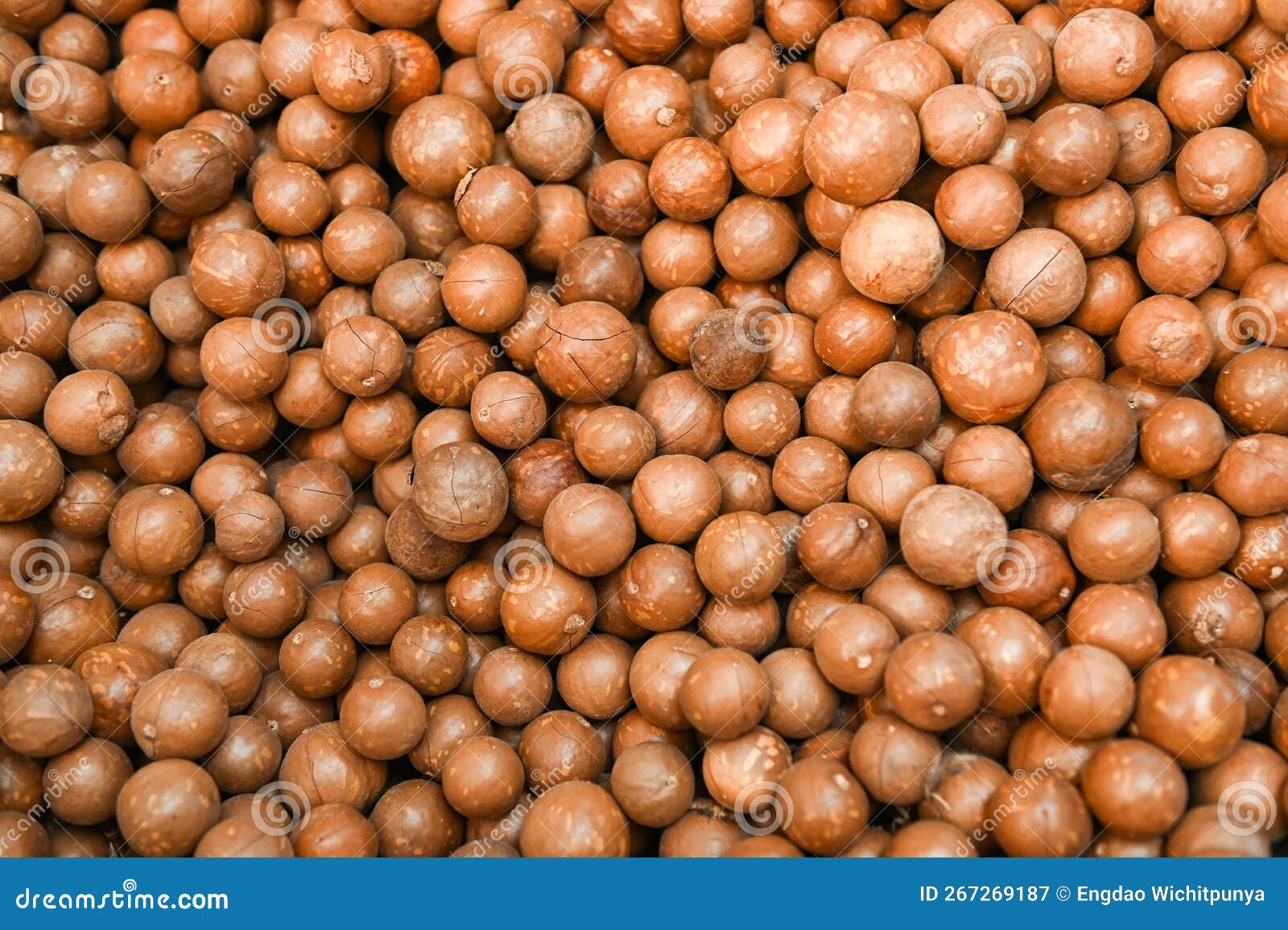 Macadamia Nuts Texture Background, Fresh Natural Shelled Raw Macadamia ...