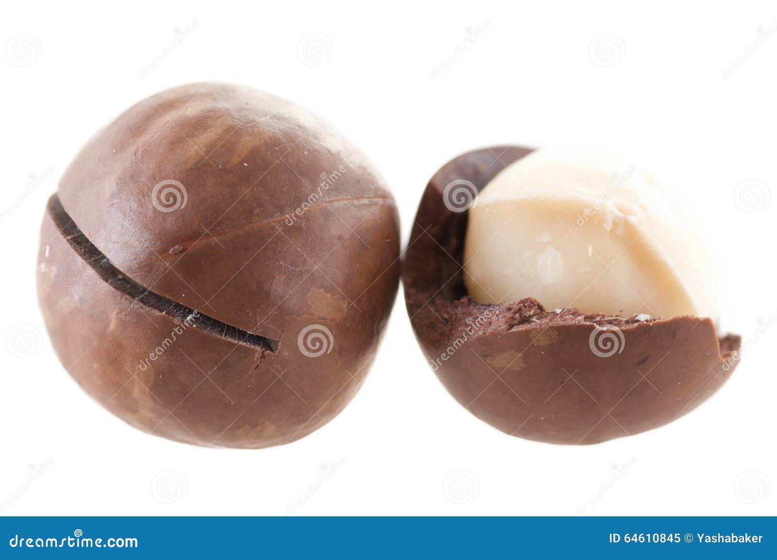 Macadamia nuts stock image. Image of filbert, crack, macadamia - 64610845