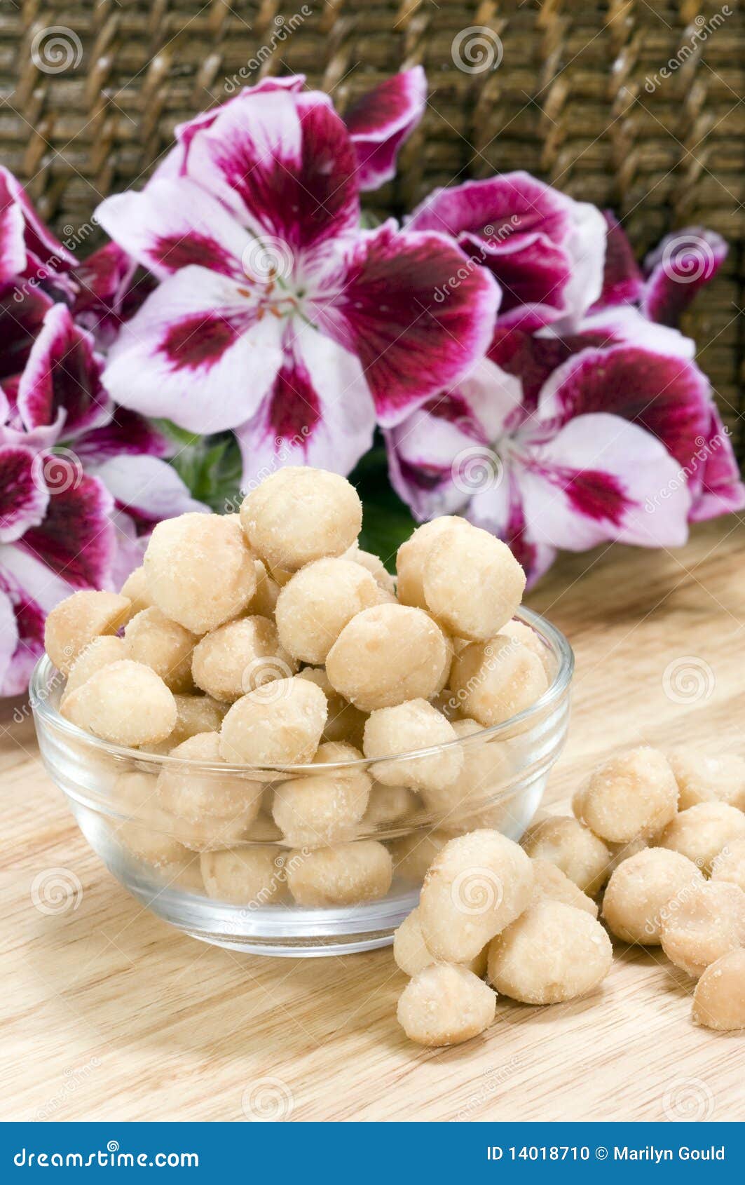 2,101 Macadamia Wood Stock Photos - Free & Royalty-Free Stock Photos ...