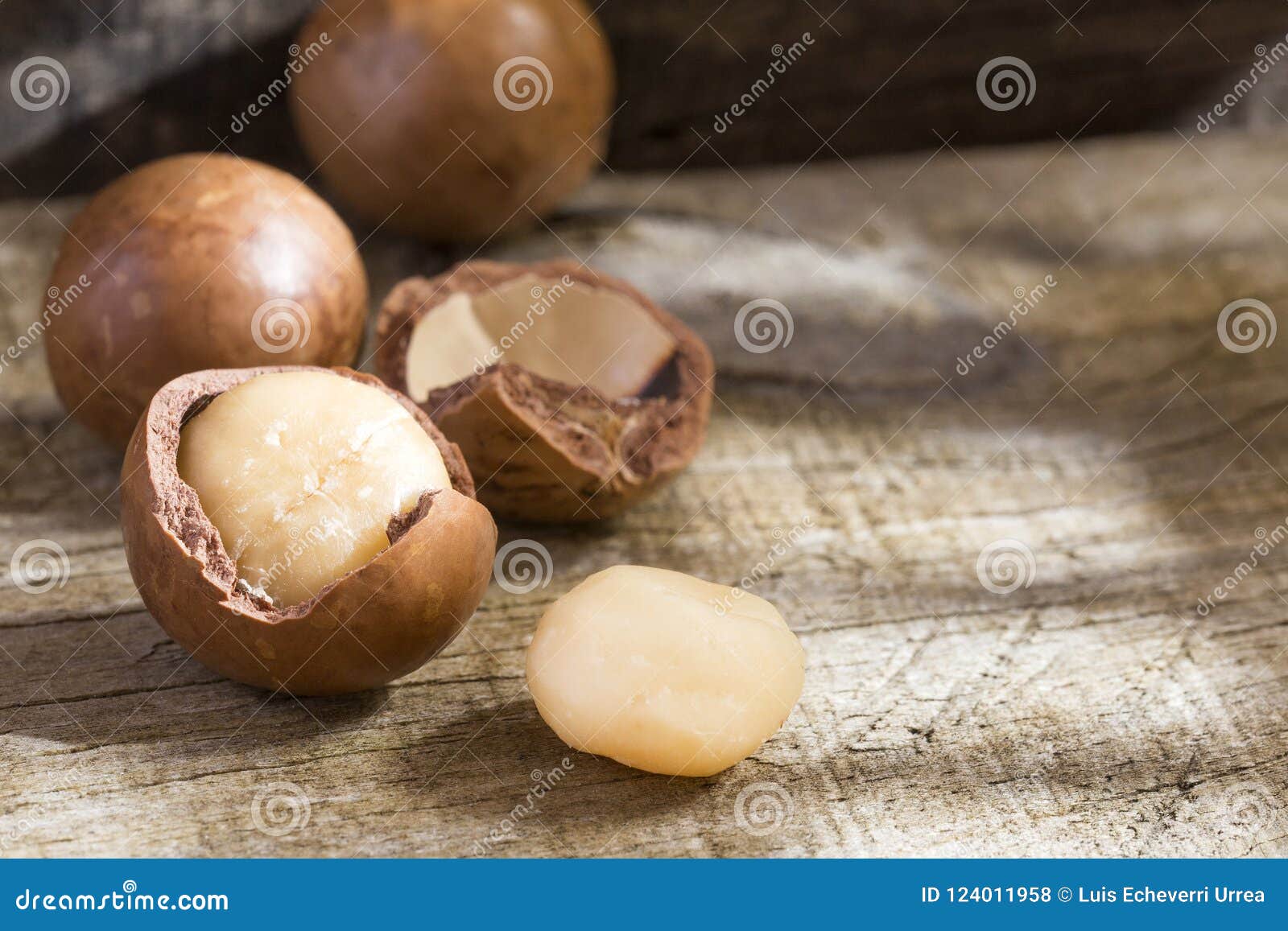 Macadamia Nuts Dried Fruit, Very Nutritious and Energetic - Macadamia ...