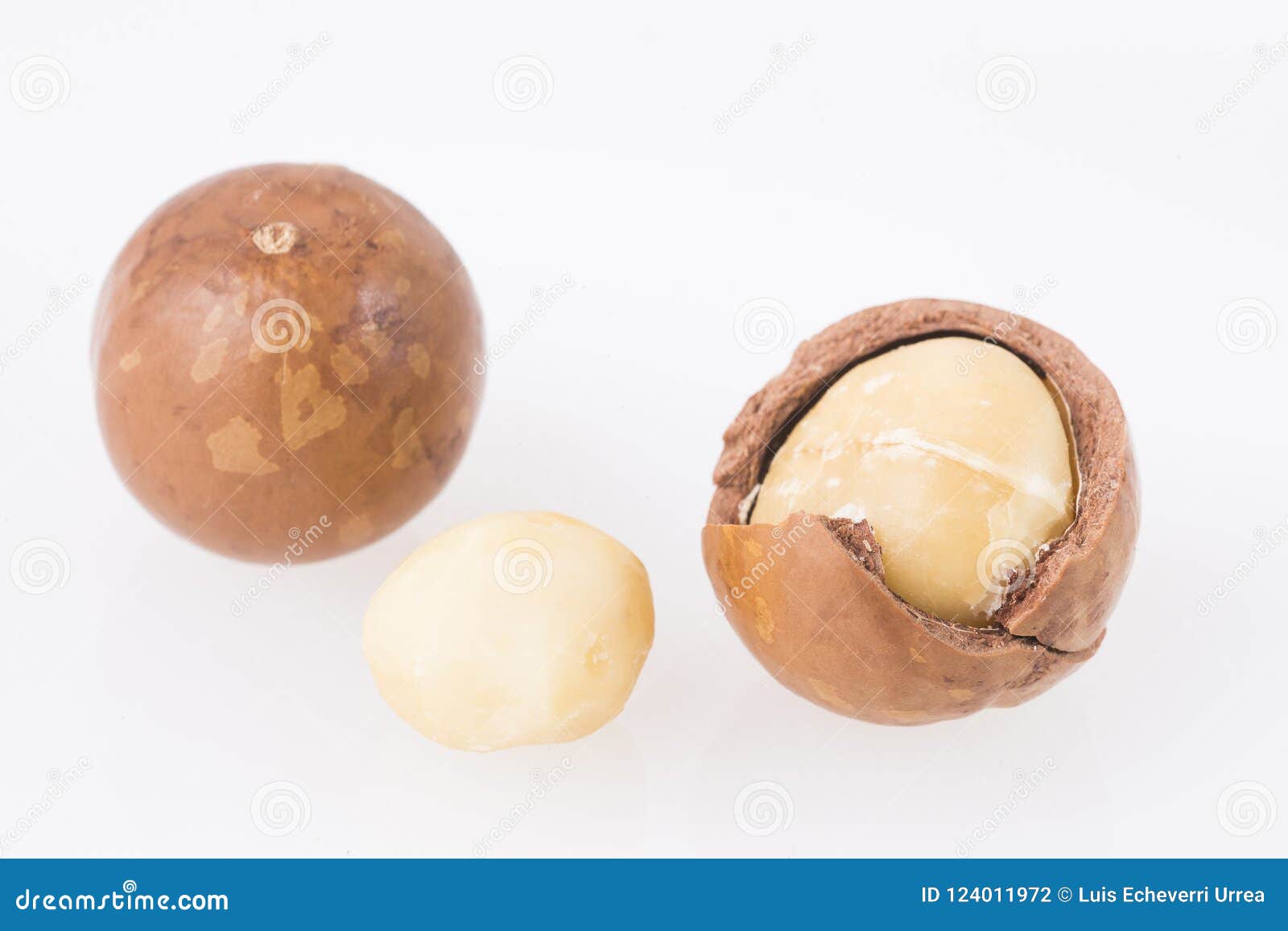 Macadamia Nuts Dried Fruit, Very Nutritious and Energetic - Macadamia ...