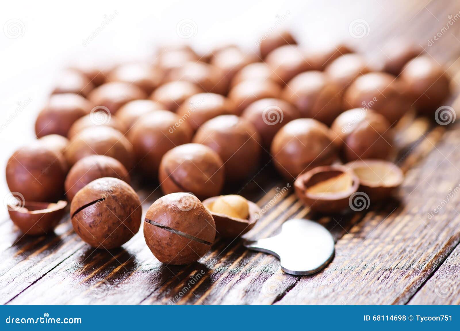 Macadamia stock photo. Image of kernel, shell, organic - 68114698