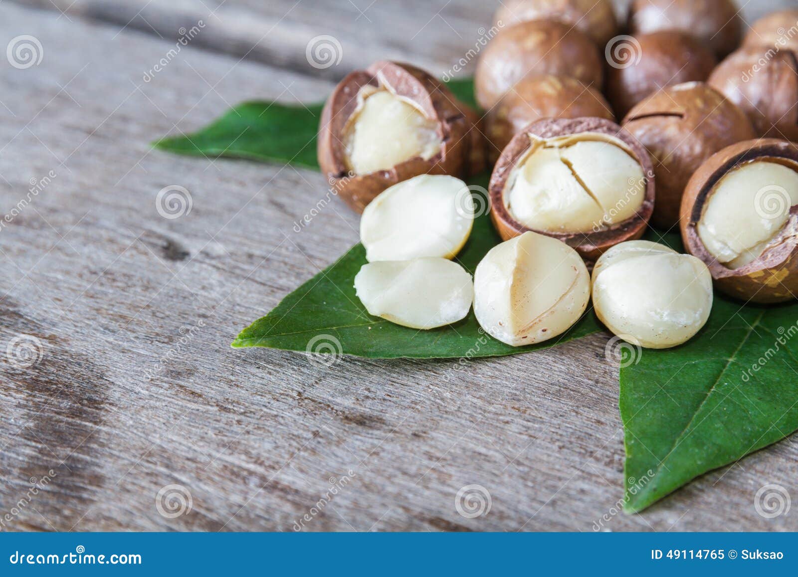 Macadamia on wood table. stock image. Image of table - 49114765