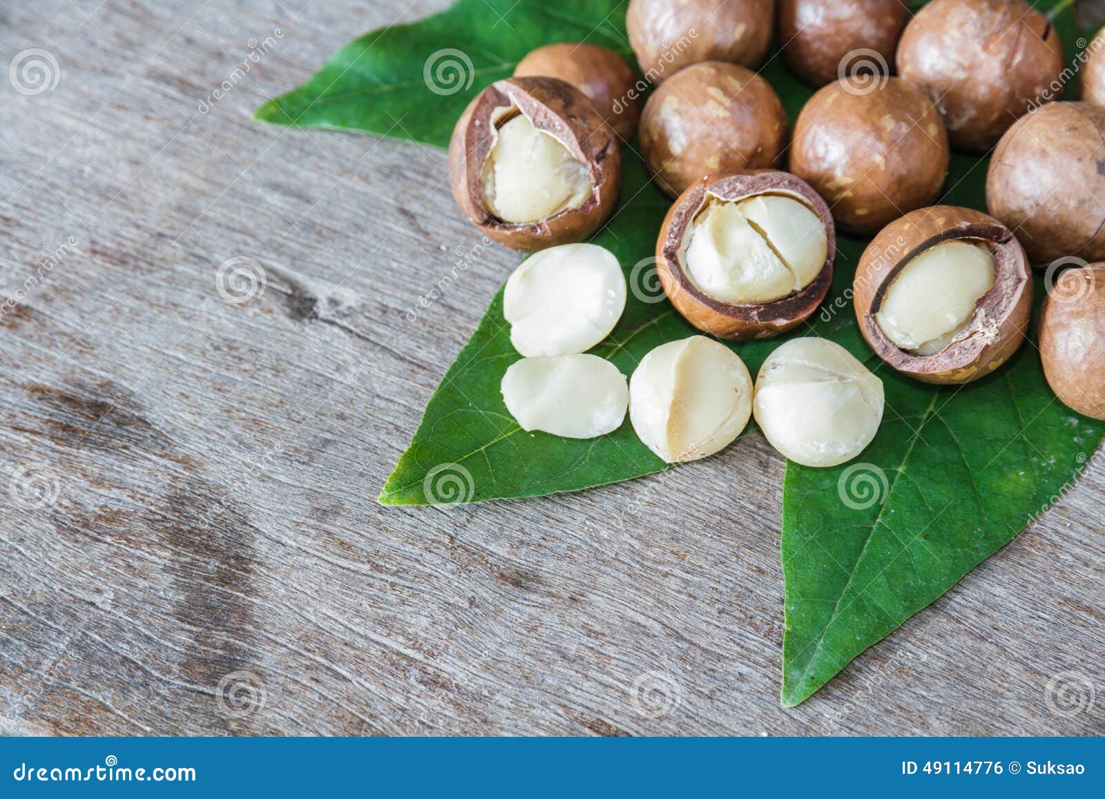 Macadamia on wood table. stock photo. Image of leaf, white - 49114776