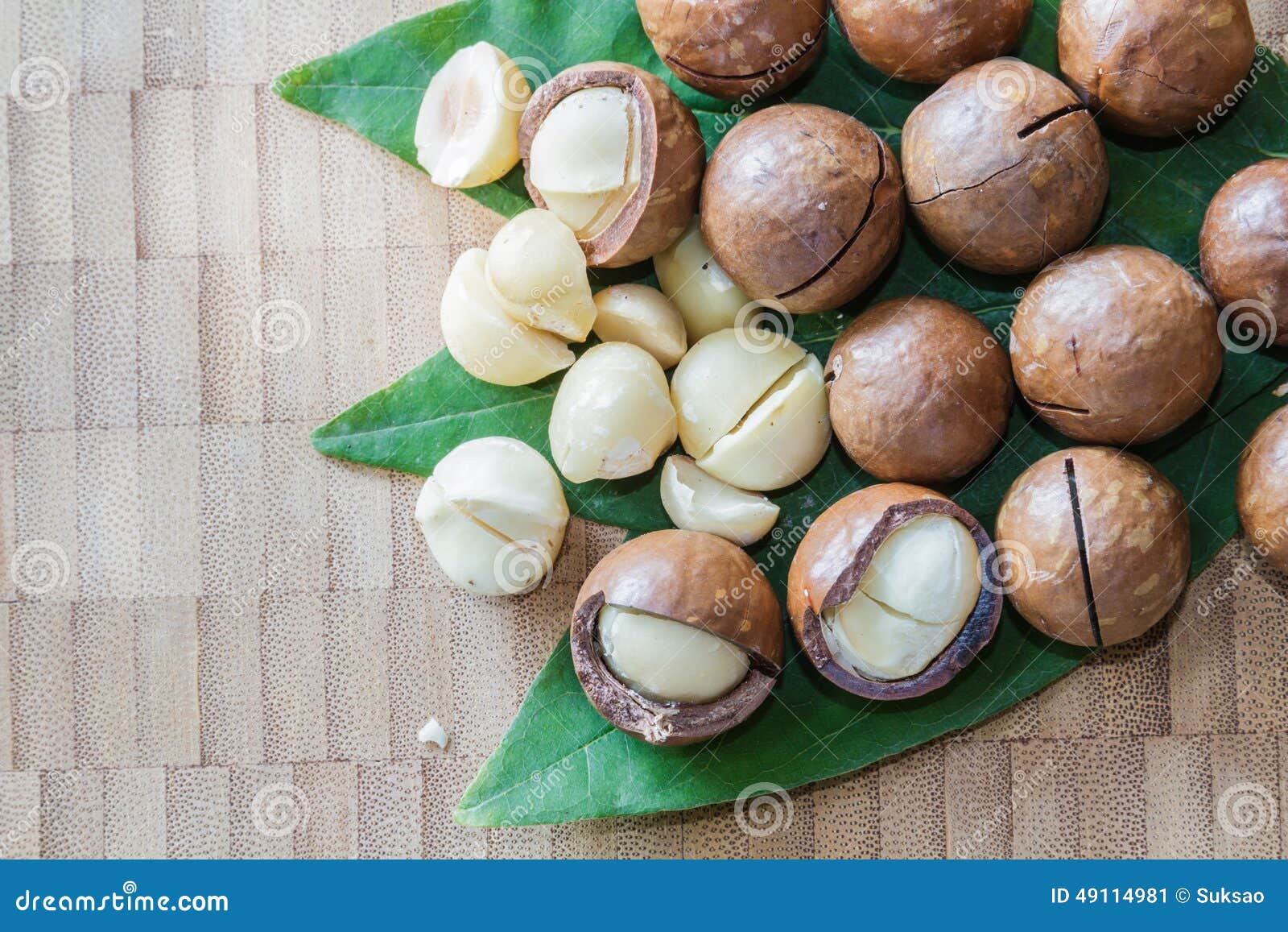 Macadamia on wood table. stock image. Image of fruit - 49114981