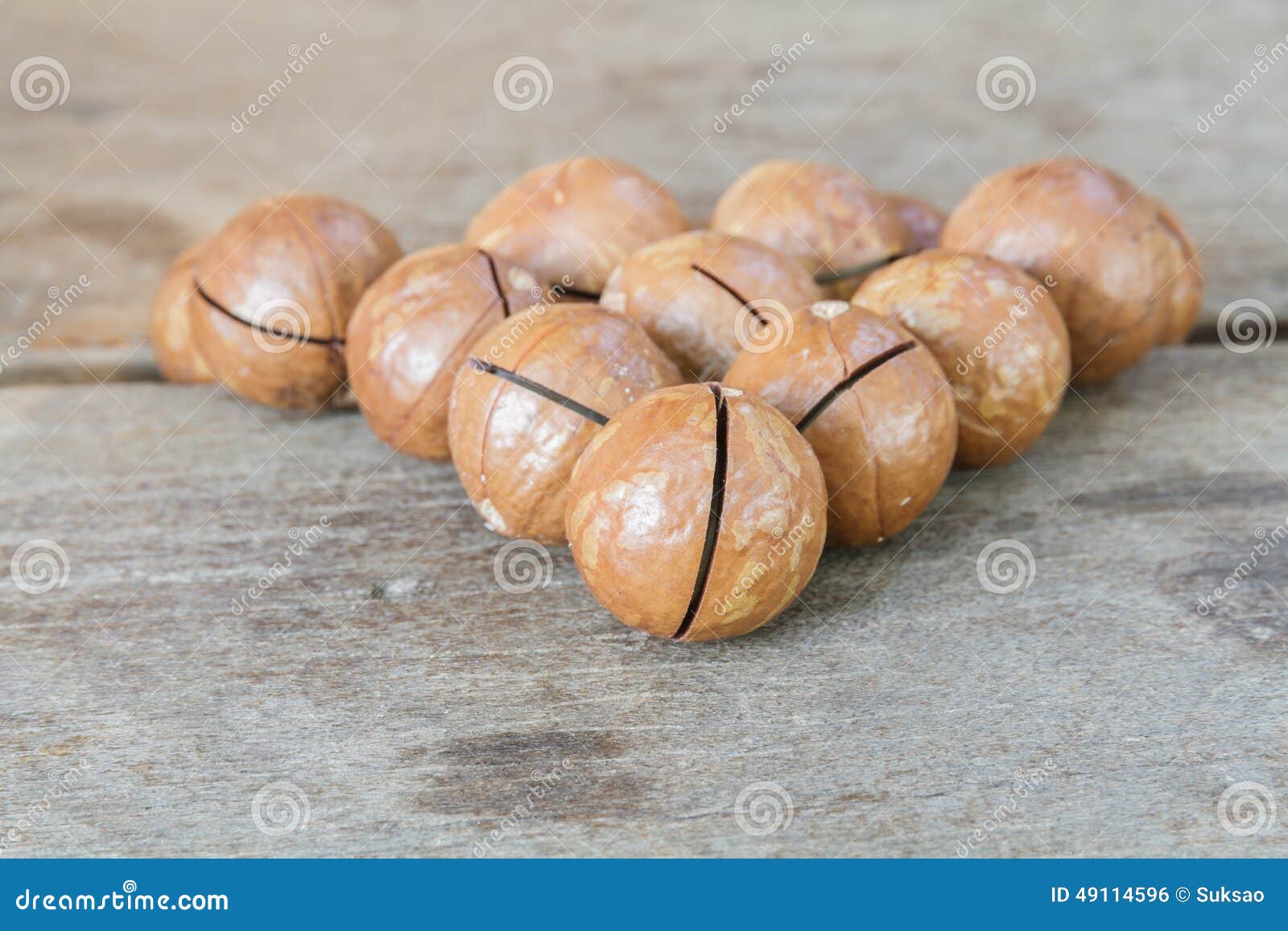 Macadamia on wood table. stock photo. Image of natural - 49114596