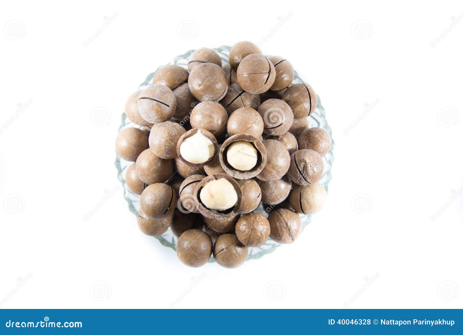 Macademia Nut Isolated on White Background Stock Photo - Image of ...