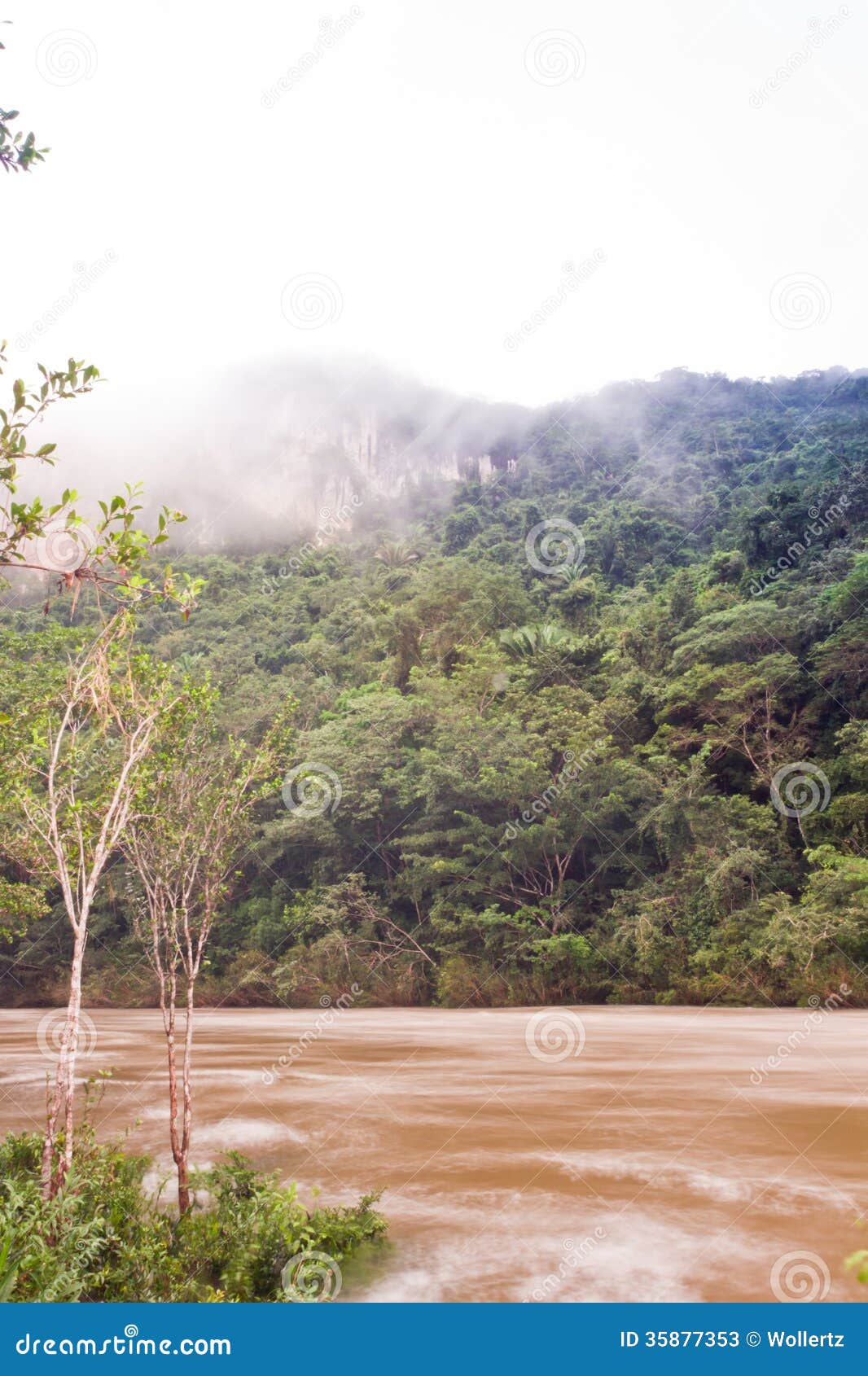 Macal River Belize stock image. Image of nature, river - 35877353