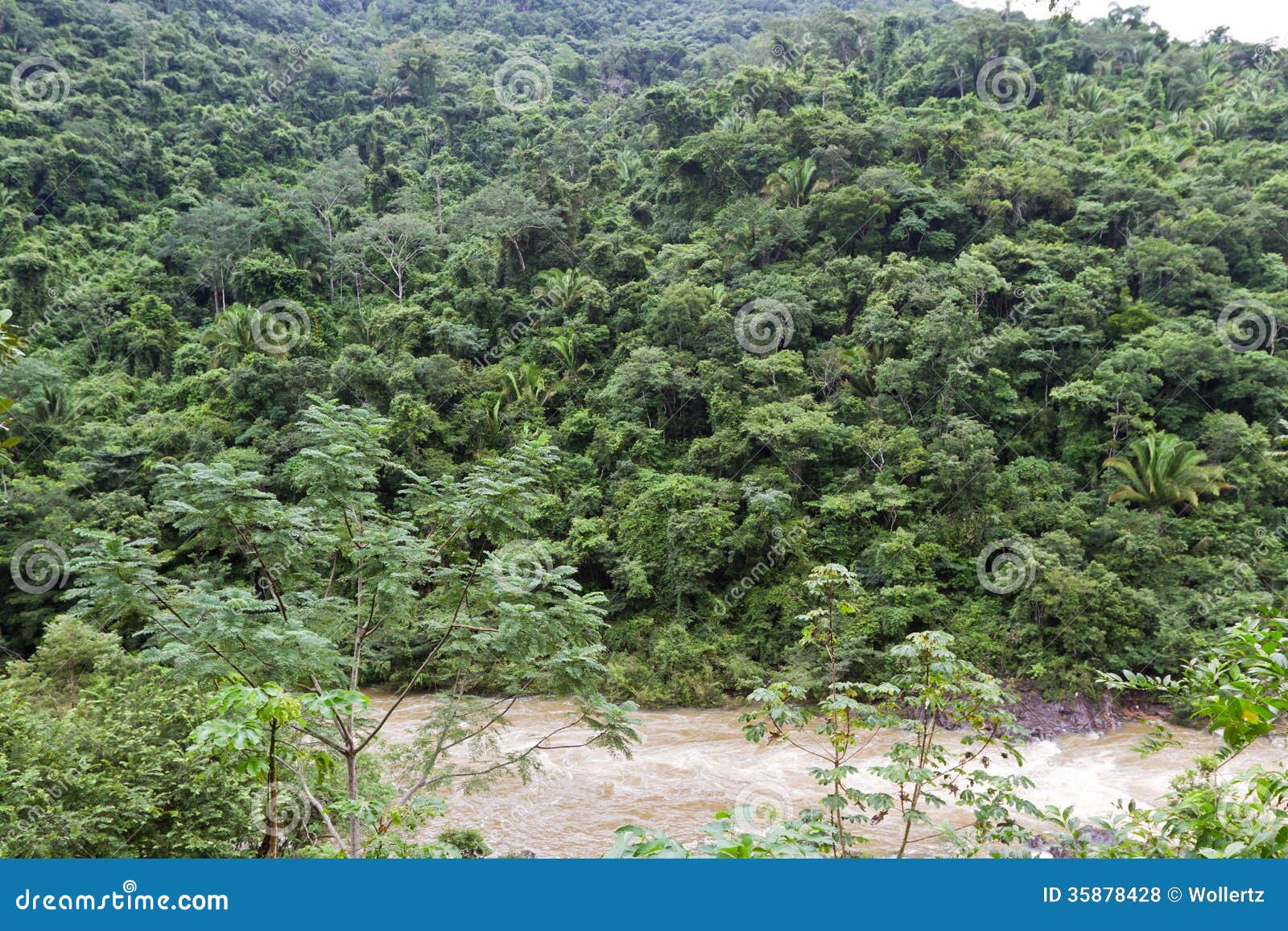 Macal River Belize stock photo. Image of current, bank - 35878428