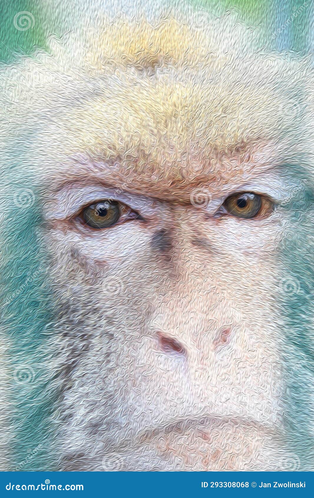Macaque monkey face stock photo. Image of cute, mammal - 293308068