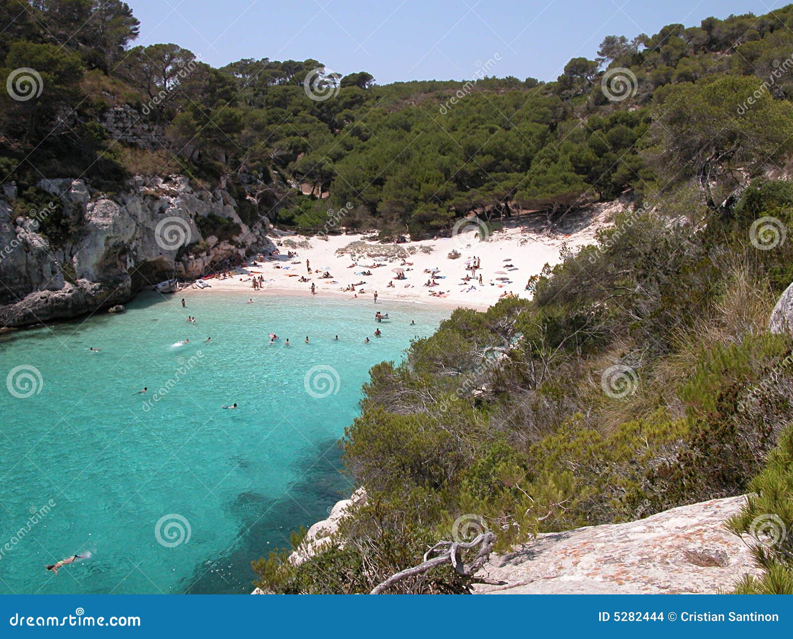 Royalty Free Images, Cartoons, Illustrations And Photos Designed By ...