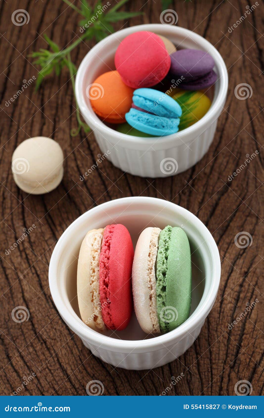Macaron multi color. stock image. Image of macaron, multi - 55415827