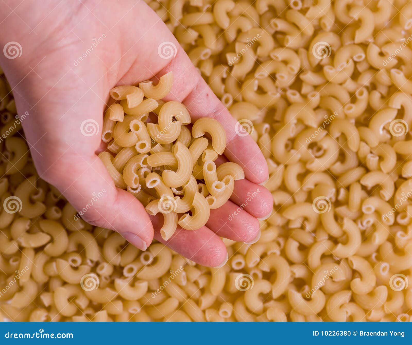 Macaroni 1 stock photo. Image of machine, noodle, food - 10226380