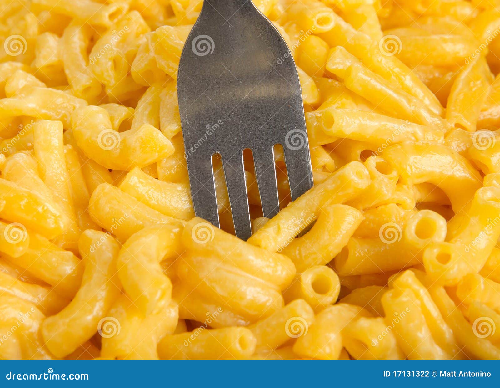Macaroni and cheese stock photo. Image of cheesy, creamy - 17131322