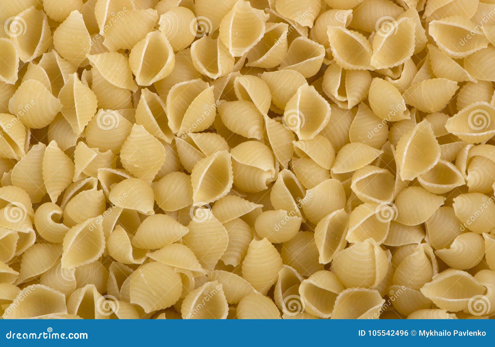 Macaroni Shape Sea Shells Texture Stock Photo - Image of meal, portion ...