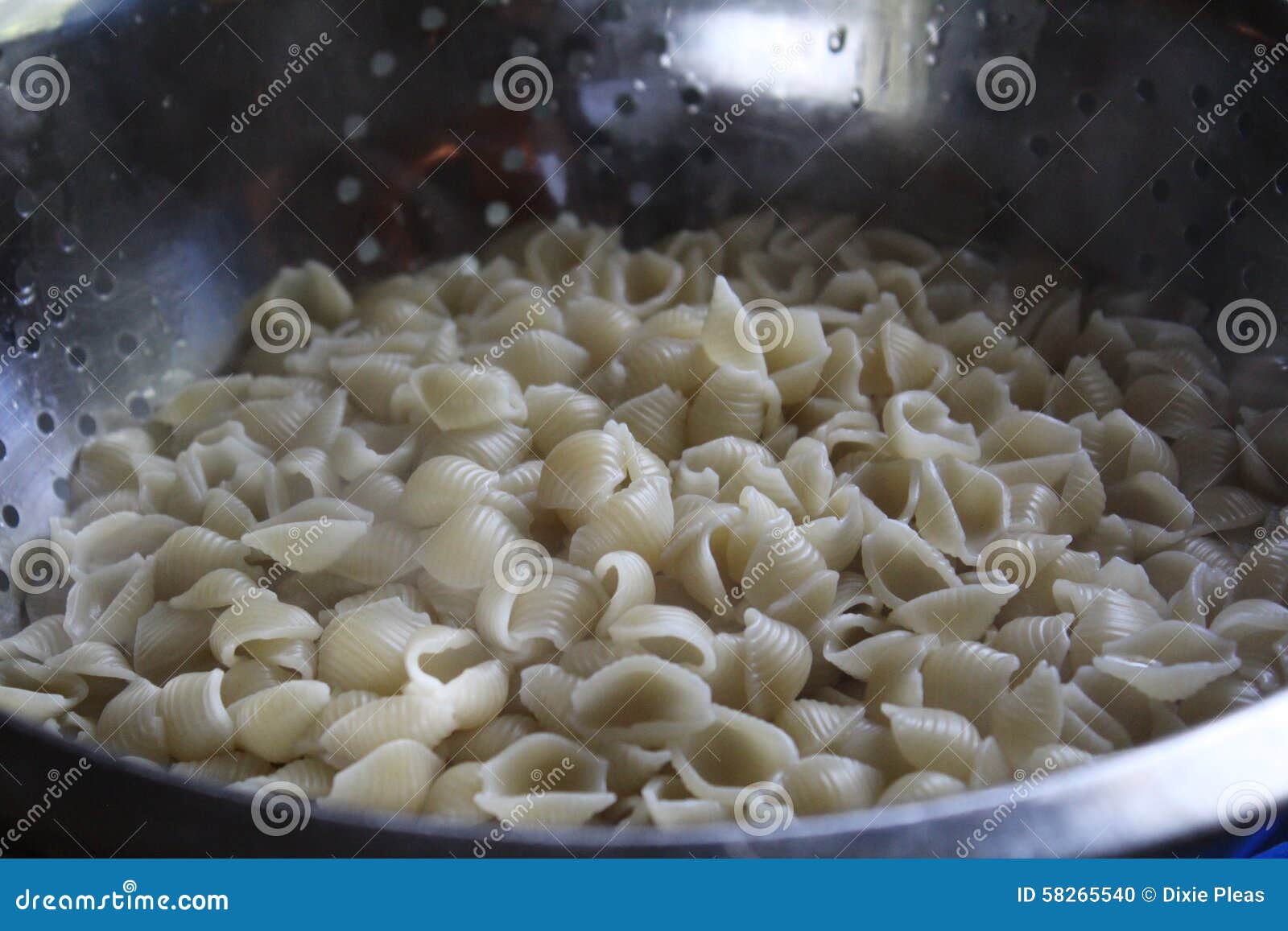 Macaroni shells stock photo. Image of shell, drained - 58265540
